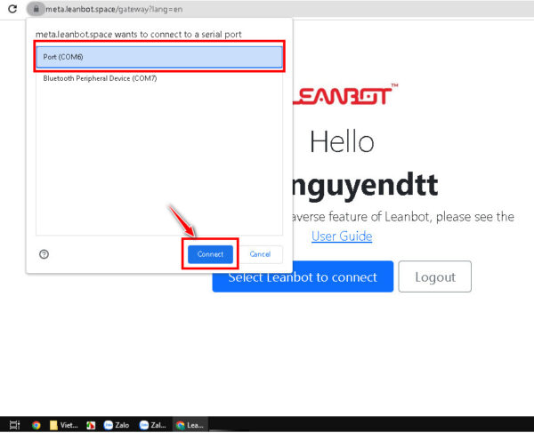 Guide to using Gateway to experience Metaverse with Leanbot – LEANBOT